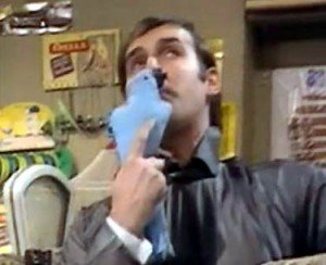 Never Yet Melted » Norwegian Blue Parrot